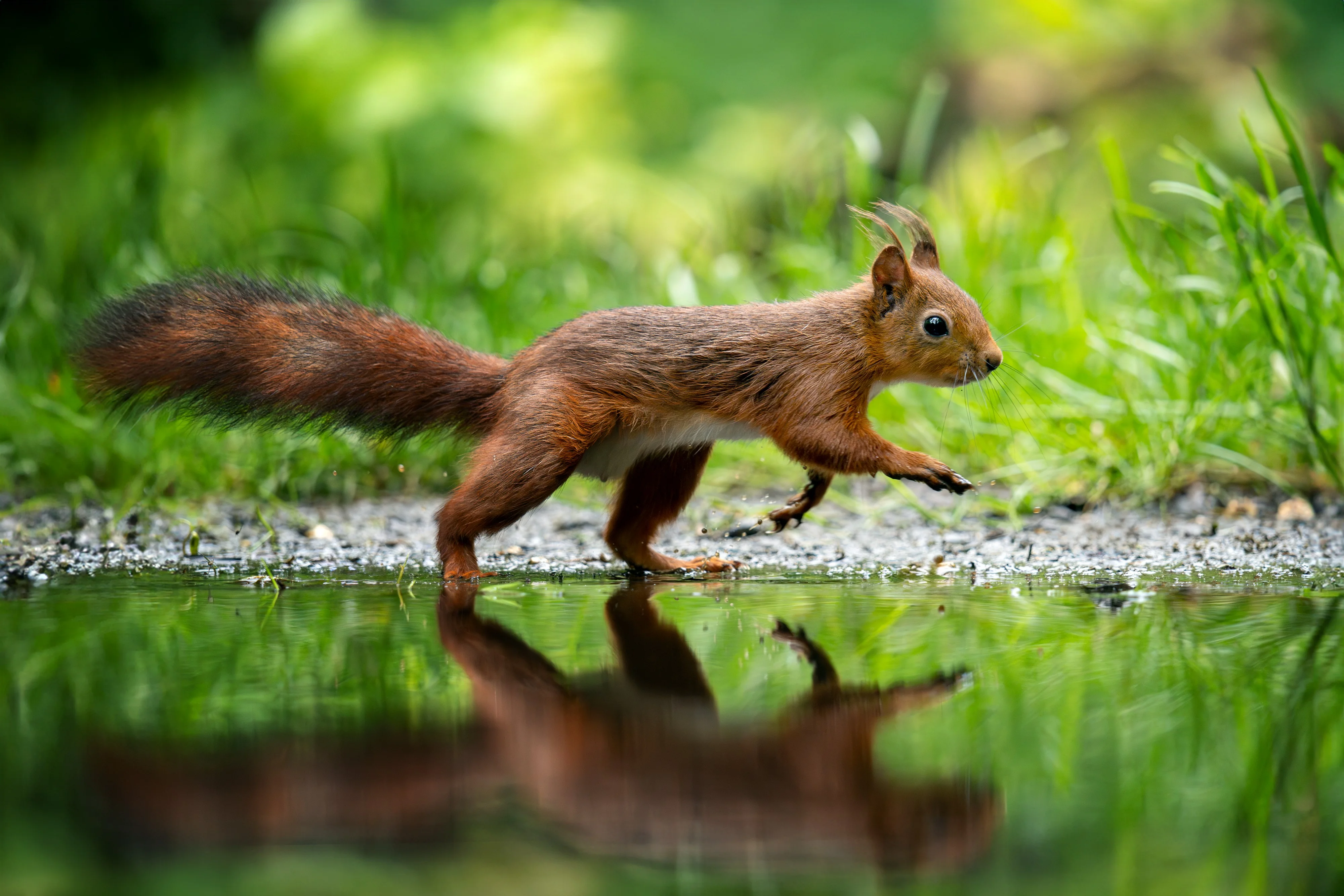 Nacre-Images - Stage photo & Prestations